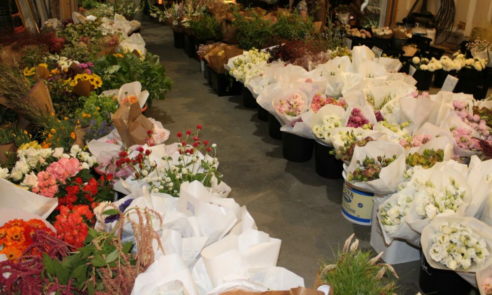 Meet Utah Premier Flower Collective – Voyage Utah Magazine