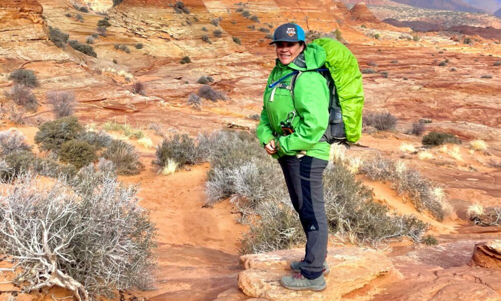 Conversations with Shelly Wayne – Voyage Utah Magazine