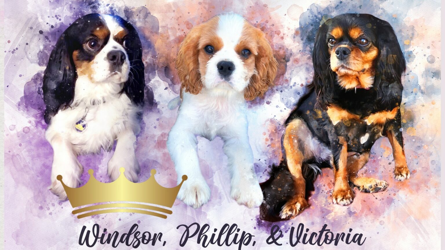 Meet Brody Coates - Voyage Utah Magazine