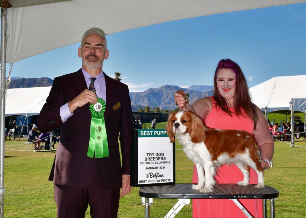 Meet Brody Coates - Voyage Utah Magazine