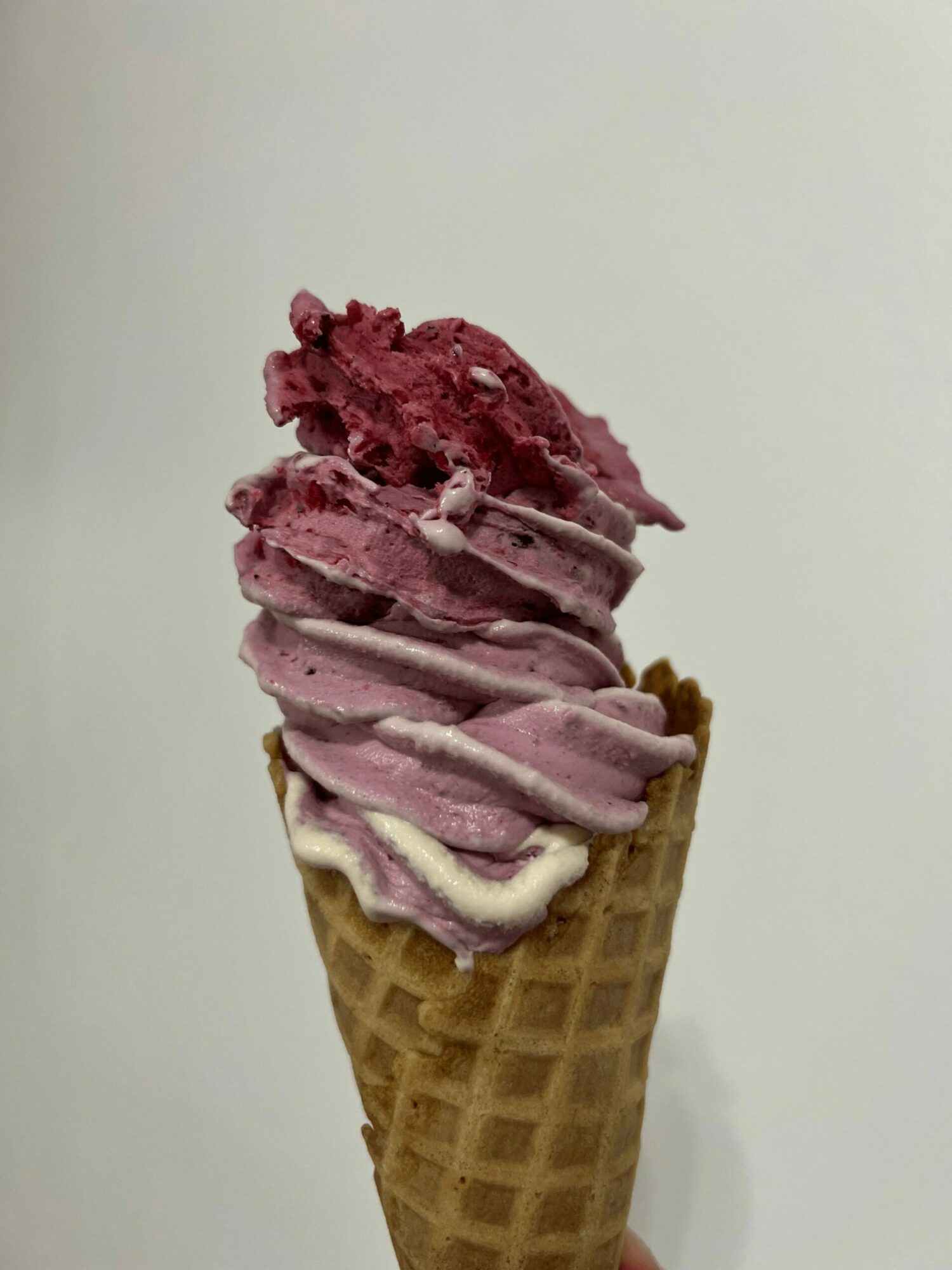 Life & Work with Dale & Monique Golding of Provo - Voyage Utah Magazine