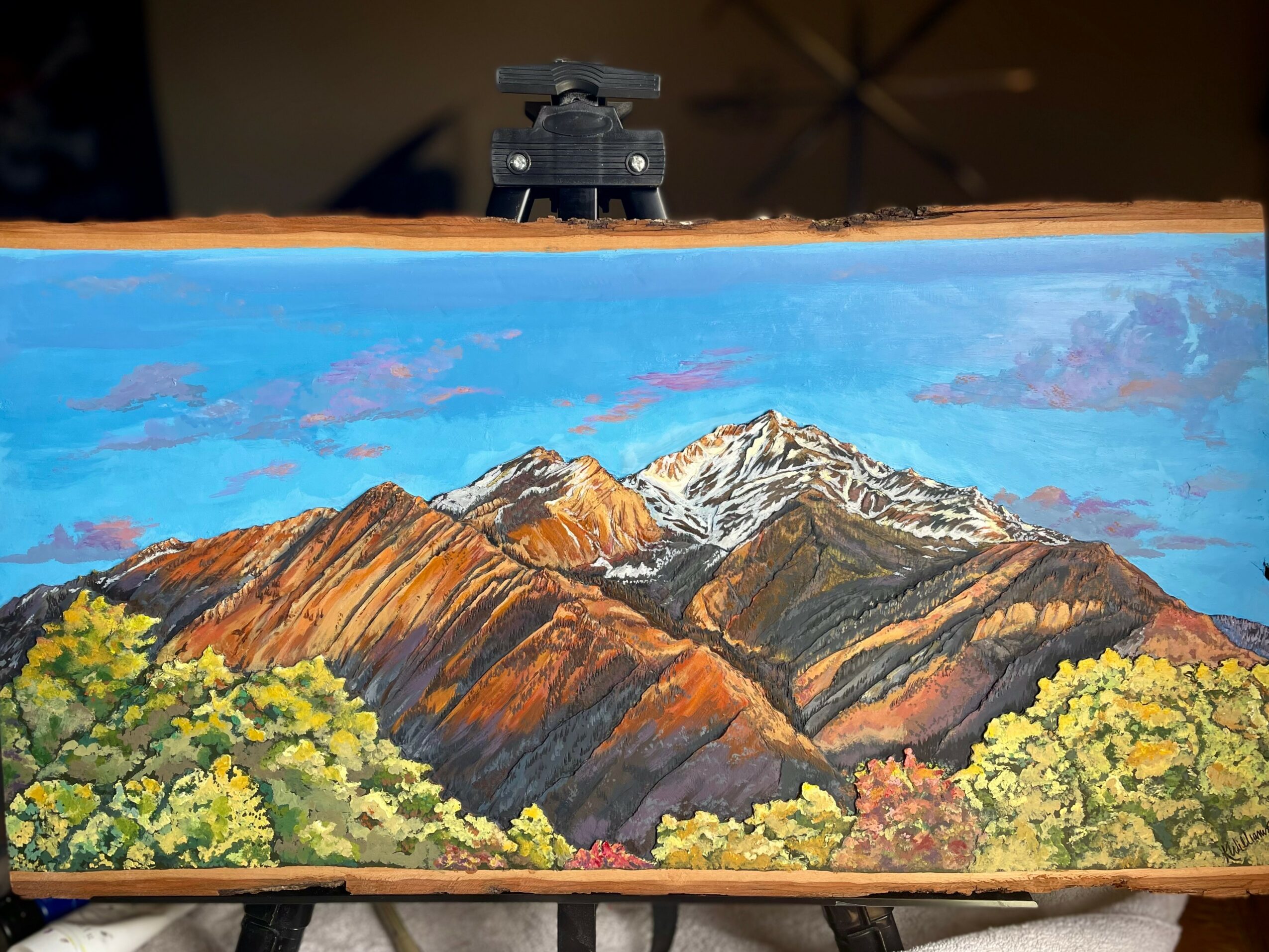 Daily Inspiration: Meet Kristyan Williams - Voyage Utah Magazine