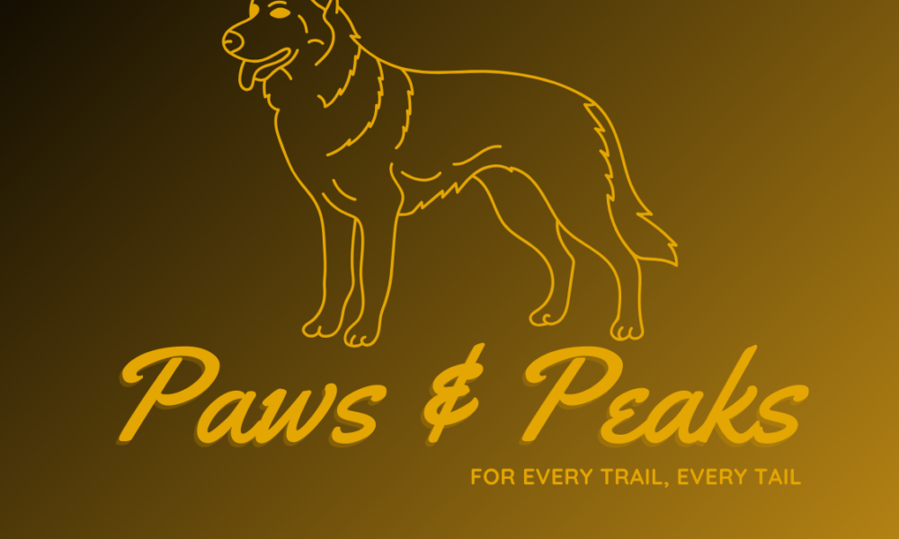 Meet Joshua Mohamed of Paws & Peaks - Voyage Utah Magazine
