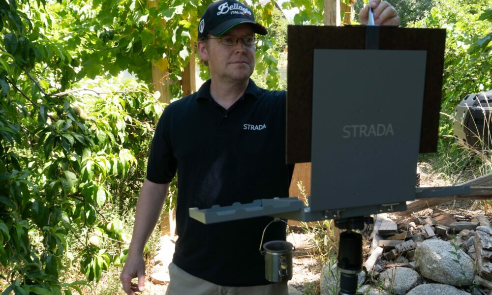 Rising Stars: Meet Bryan Mark Taylor of ALPINE, Utah - Voyage Utah Magazine