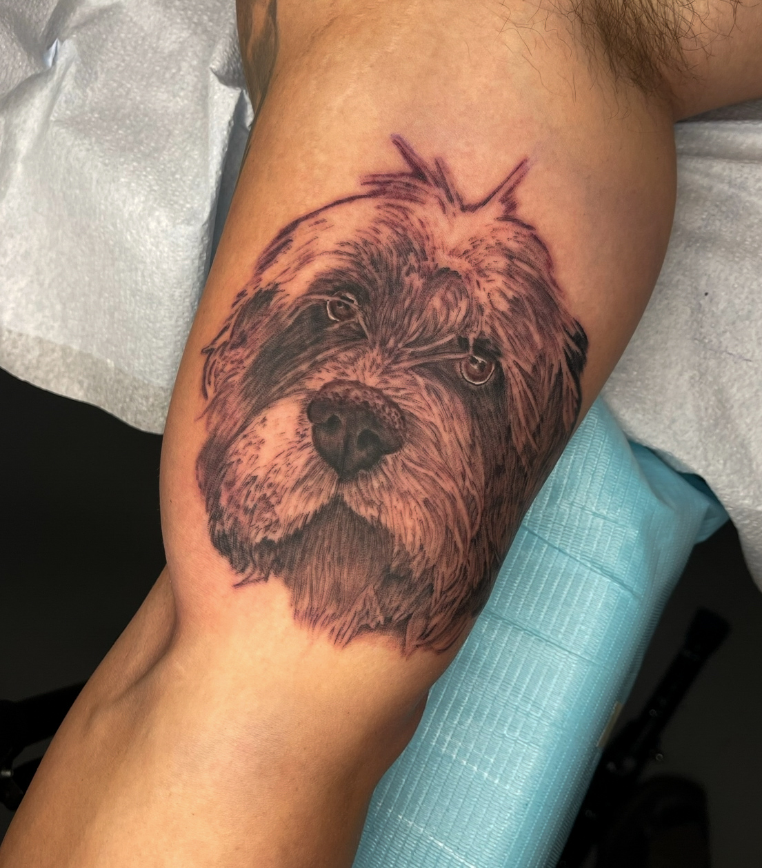 Rising Stars: Meet Clint McInnes of Downtown Salt Lake City - Voyage ...