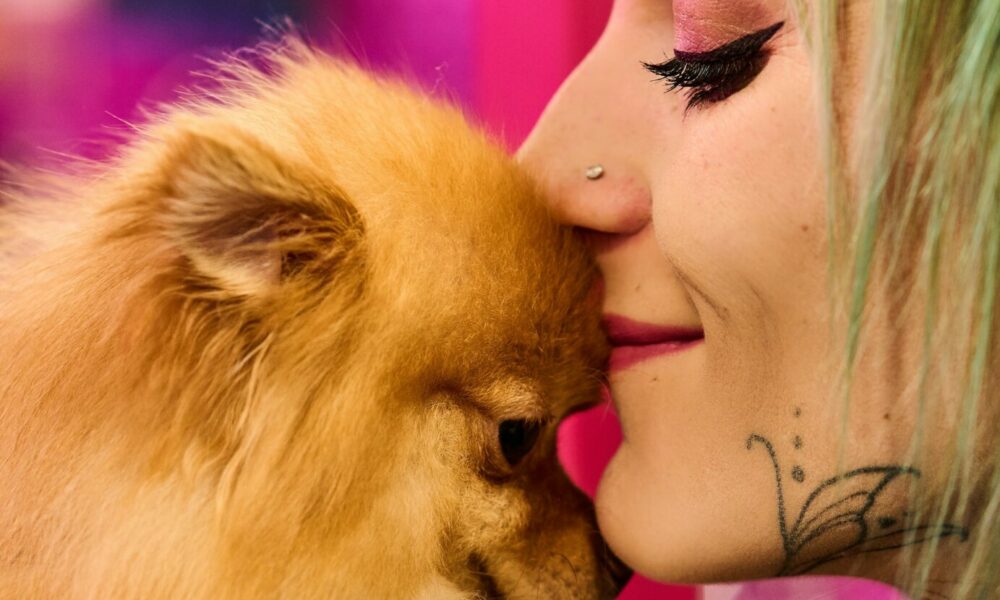 Community Highlights: Meet Sierra Goodfellow of GoodfellowPetGrooming ...
