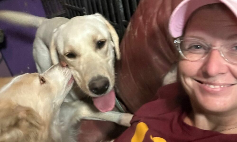 Community Highlights: Meet Crystal Reeves of Paws-itive Results LLC - Voyage Utah Magazine