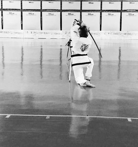 Hidden Gems: Meet Stephenie Gayler of White Tiger Taekwondo – Voyage ...