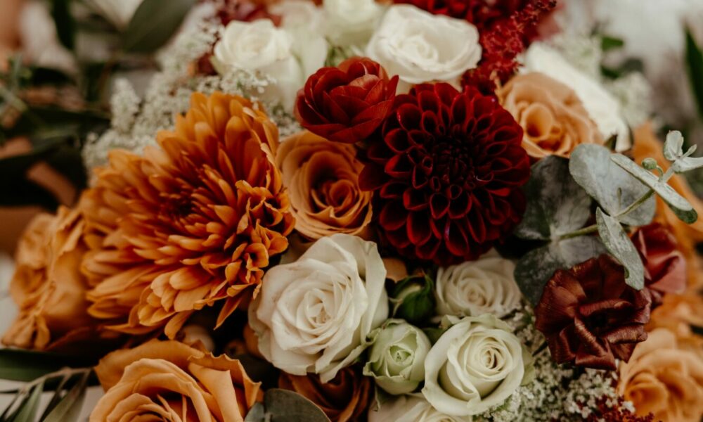 Daily Inspiration: Meet Bree Young - Voyage Utah Magazine